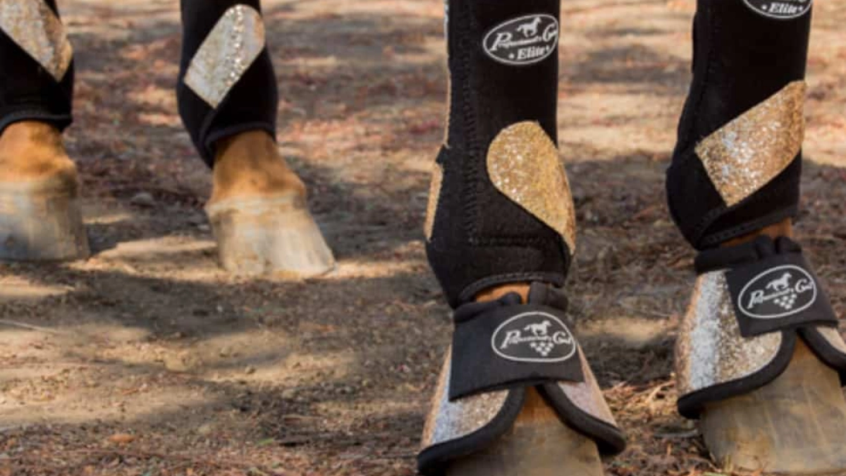 Professional's Choice: 5 Favorite Pairs of Boots