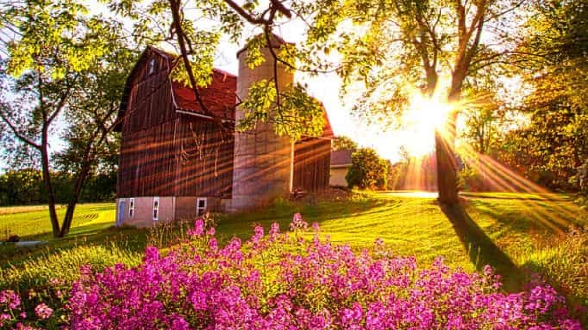 Gorgeous Lush Ranches and Barns to Inspire - COWGIRL Magazine