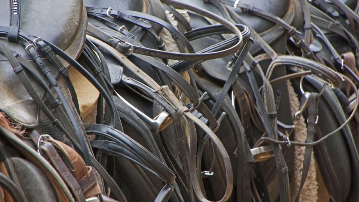 Earn Cash For Your Unwanted Tack - COWGIRL Magazine
