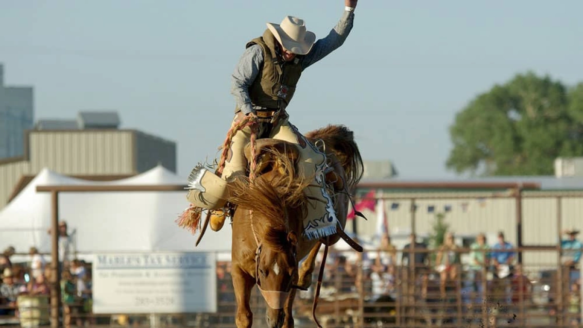 These Horse Breeds Dominate The Rodeo Scene - COWGIRL Magazine