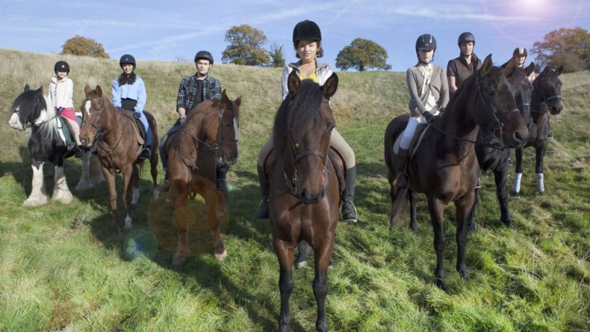 Meet The Horses From Netflix Original, Free Rein! - COWGIRL Magazine