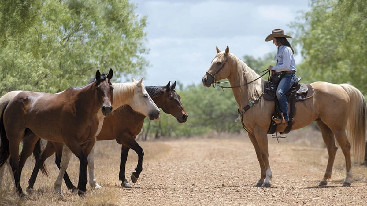 Life In The Fast Lane With Hailey Kinsel - COWGIRL Magazine