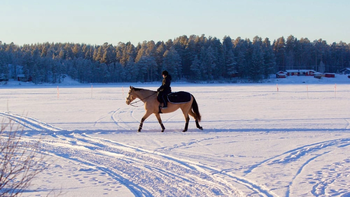 Gear Up With These Must Have Items For Winter Riding - COWGIRL Magazine