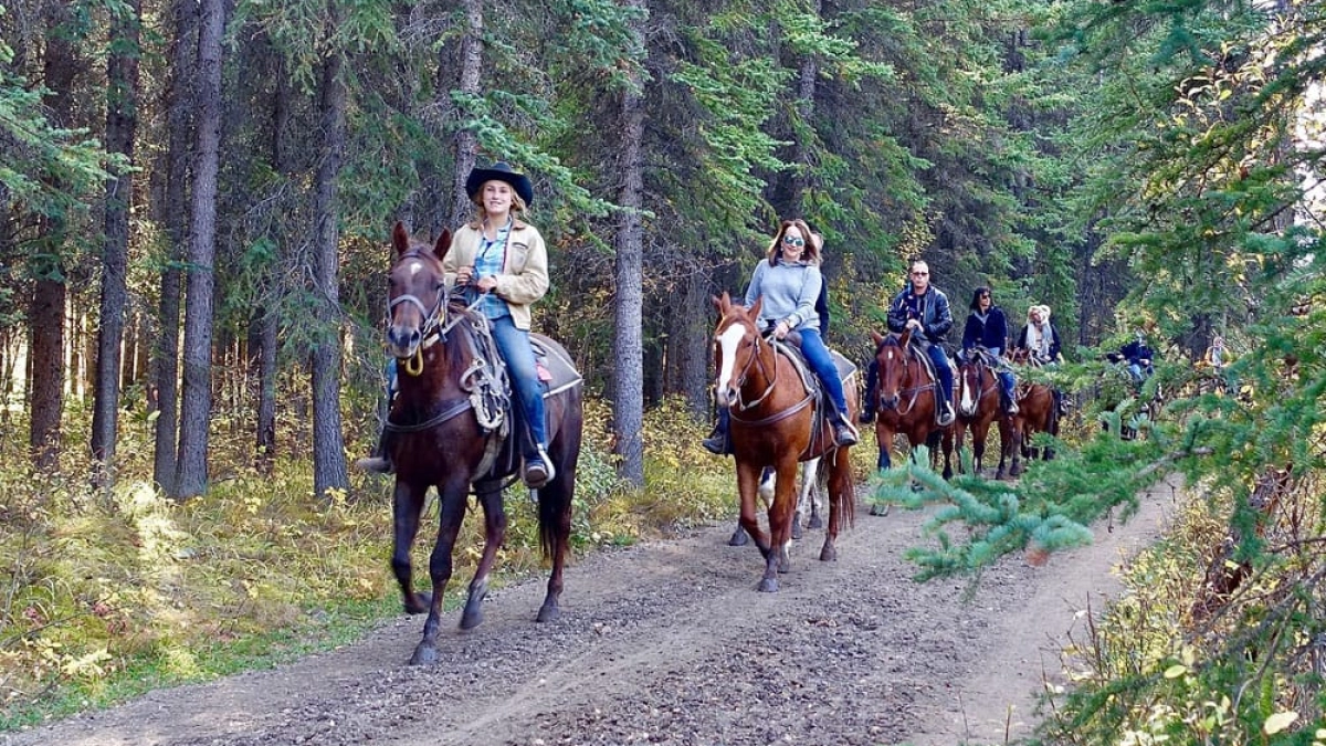 5 Must-Have Items For Trail Riding - COWGIRL Magazine