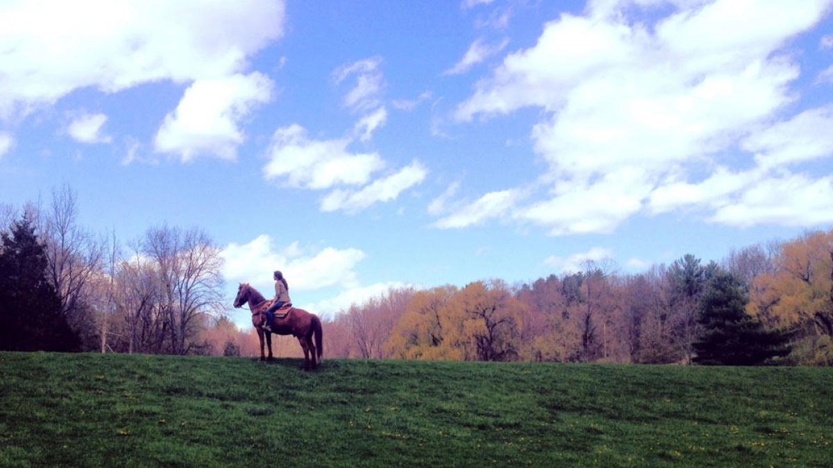 Saddle Up For An All-Inclusive Dude Ranch Adventure - COWGIRL Magazine