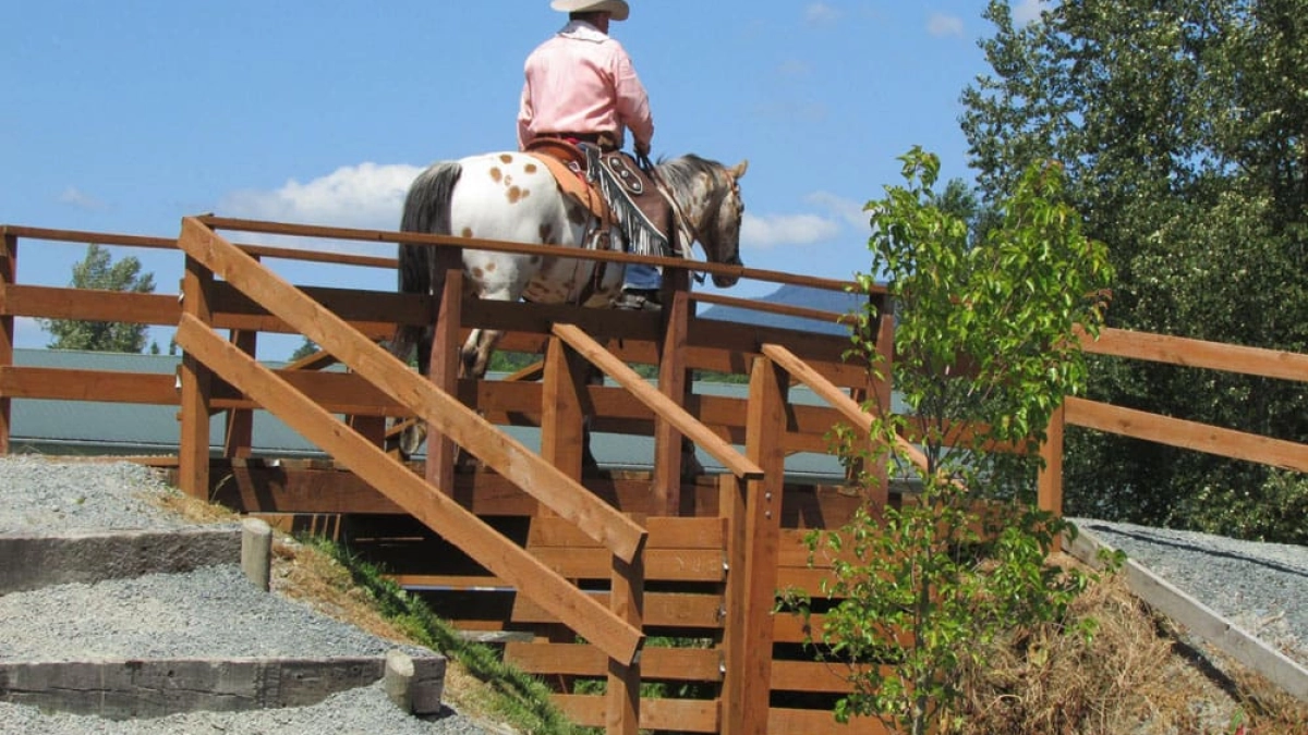 Can Your Horse Get Through These Trail Obstacles? - COWGIRL Magazine
