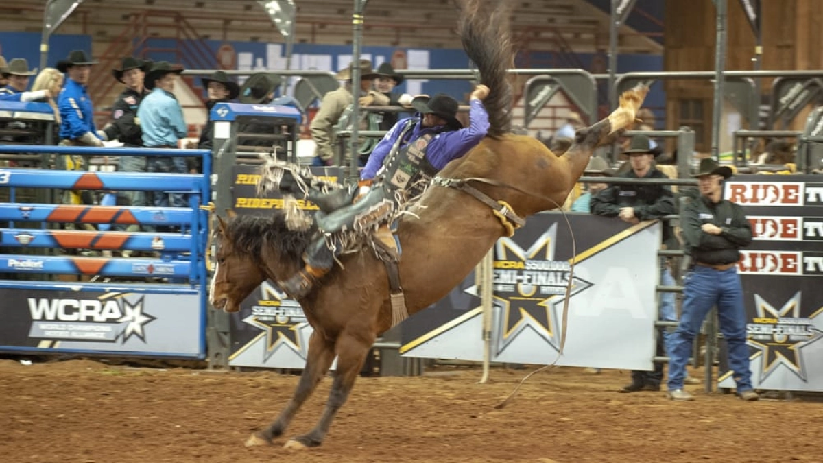 5 Facts About The Bucking Horses In Rodeos - COWGIRL Magazine