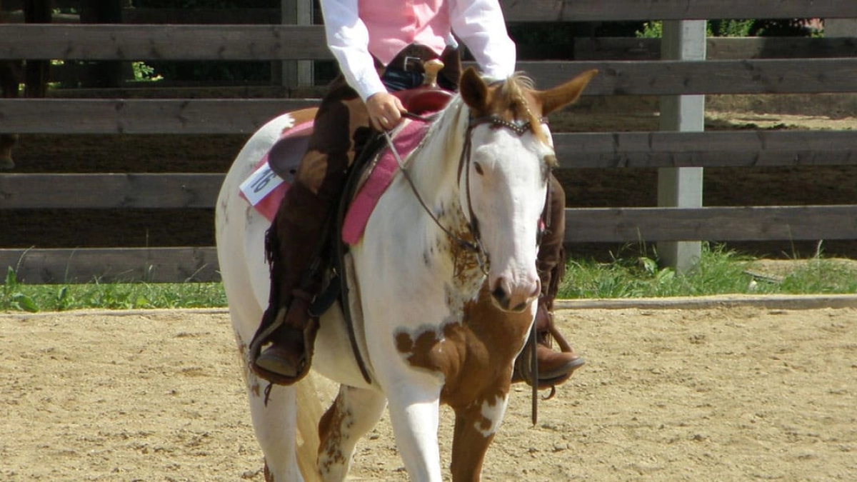 15 Tips For Getting The Blue Ribbon - COWGIRL Magazine