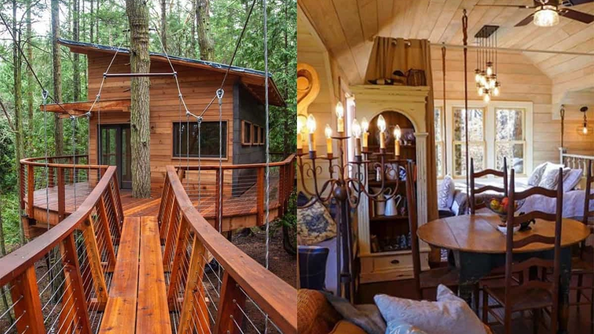 Would You Live In These Treehouse Cabins? - COWGIRL Magazine