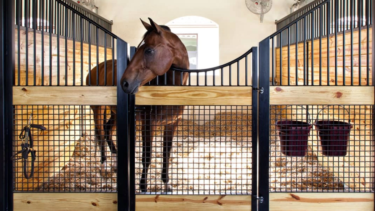 How Much Bedding Should You Use? - COWGIRL Magazine