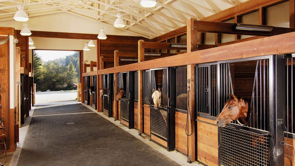 Enjoy A Squeaky Clean Barn With DIY Cleaners - COWGIRL Magazine