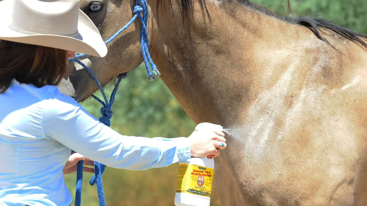 Bye Bye Insects - COWGIRL Magazine