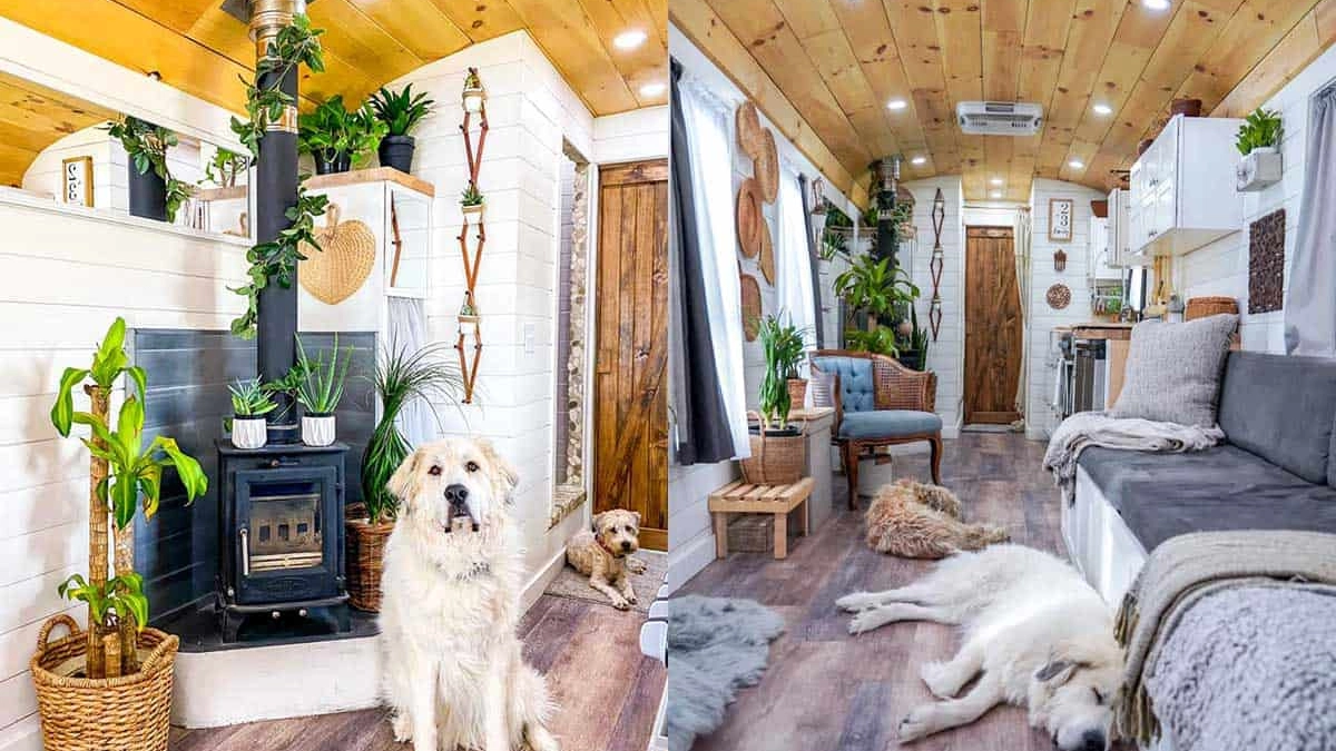 Be A Homebody Everywhere You Go In This Bus