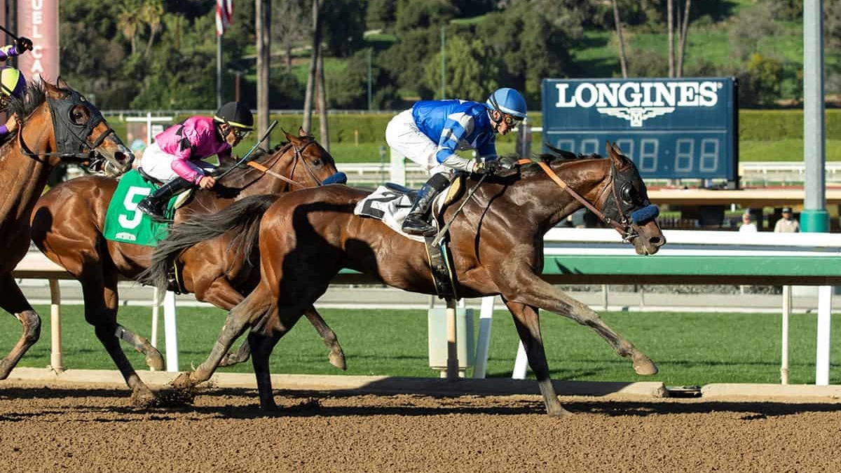 The Horses Of The 2020 Derby - COWGIRL Magazine