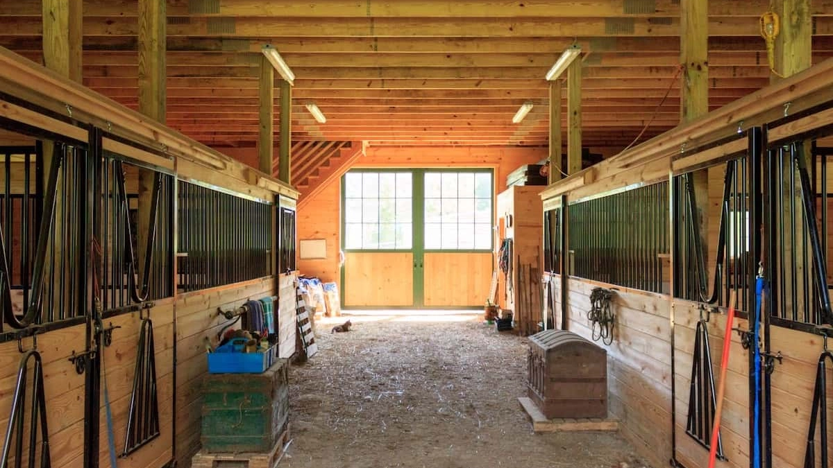 20 Tips For A Better Functioning Barn - COWGIRL Magazine