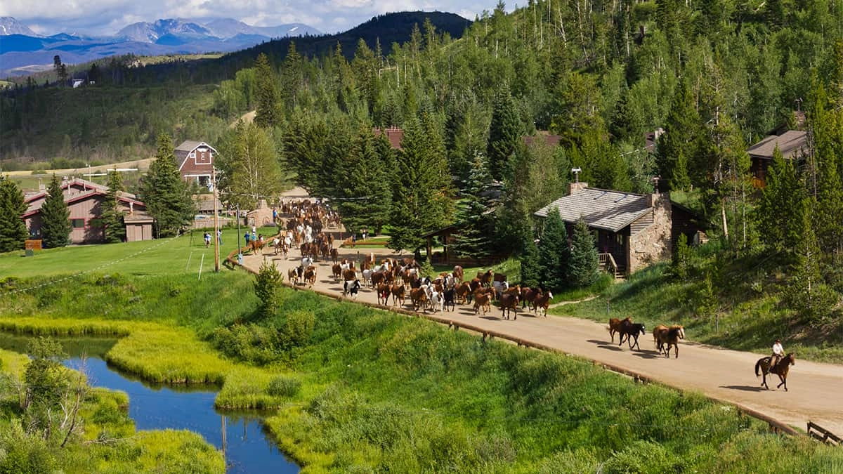 C Lazy U Ranch Events - COWGIRL Magazine