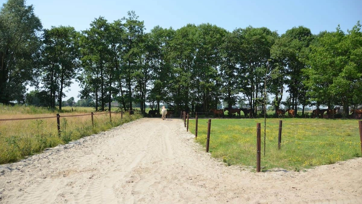 Tour This Paddock Paradise Track System - COWGIRL Magazine