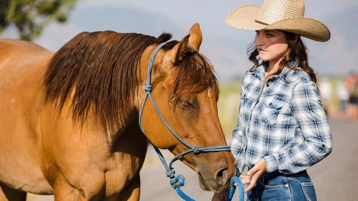 5 Tips On Horse Buying From An Equine Lawyer - COWGIRL Magazine
