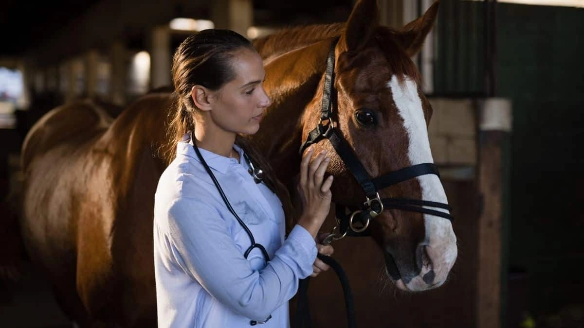 Recommended Vaccinations Chart For Horses - COWGIRL Magazine