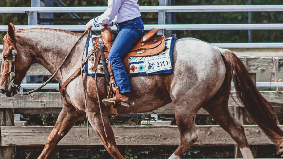 The 6 Classes Of Ranch Versatility - COWGIRL Magazine