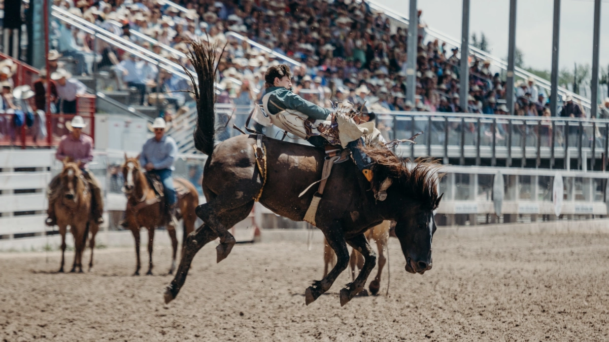The Wild Events Of Rodeo - COWGIRL Magazine