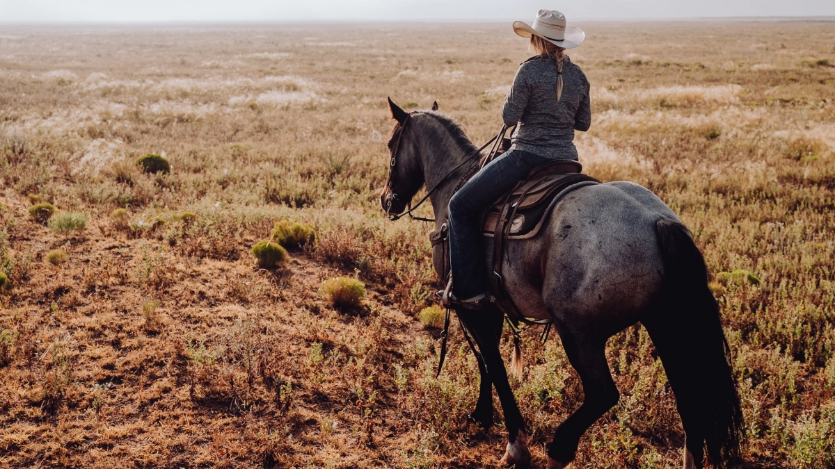 10 Tips For Trying A New Horse - COWGIRL Magazine