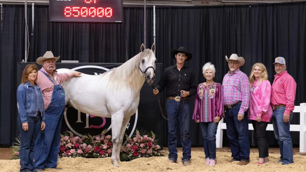 Stallion MS Trucoseix Sells For $850,000 At Pink Buckle - COWGIRL Magazine