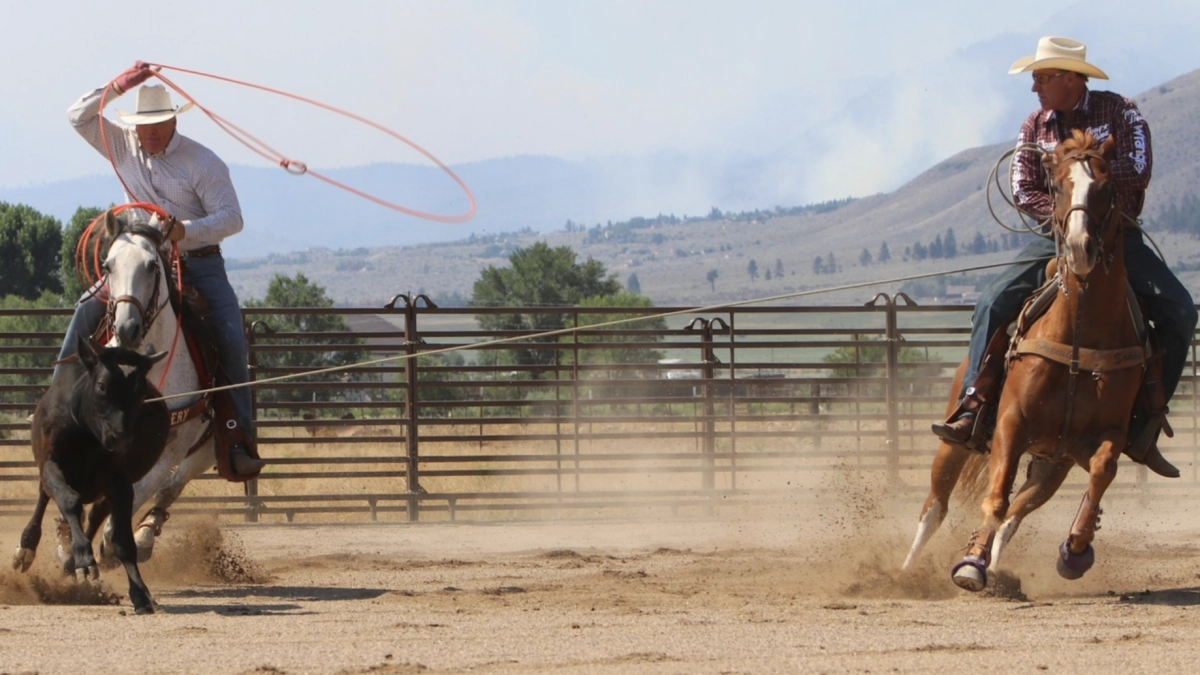 The Basics Of Team Roping - COWGIRL Magazine