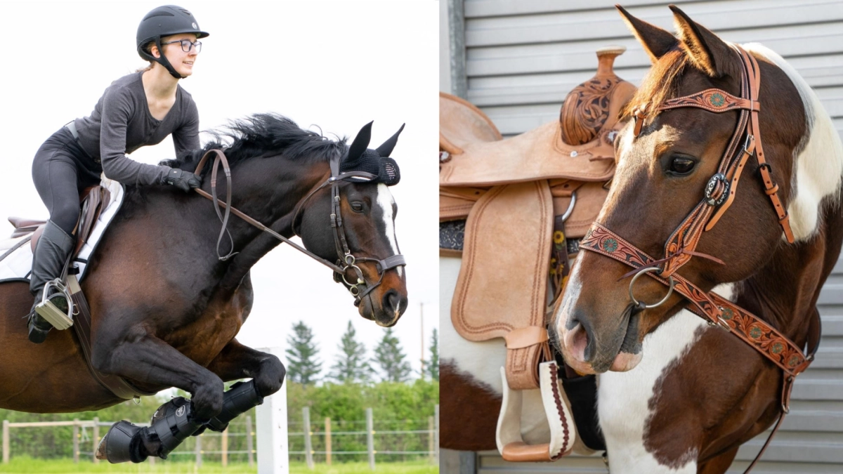 5 Differences Between English & Western Riding - COWGIRL Magazine