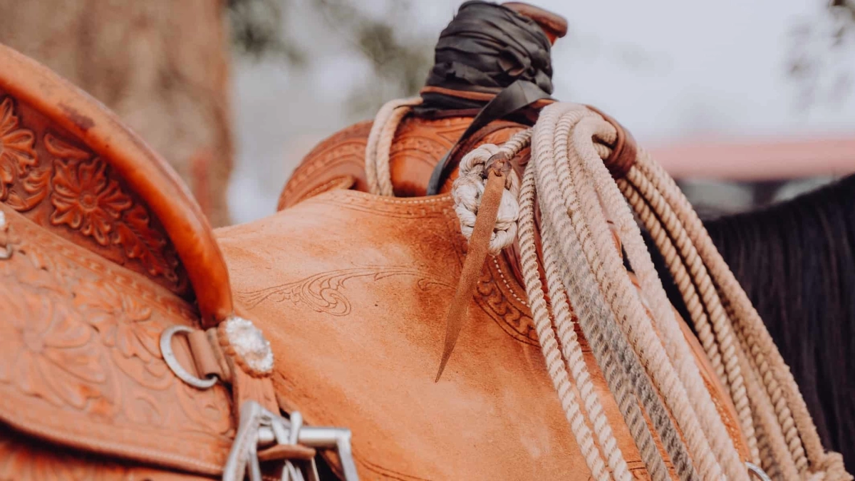 Full Quarter Horse Bars VS Semi - COWGIRL Magazine