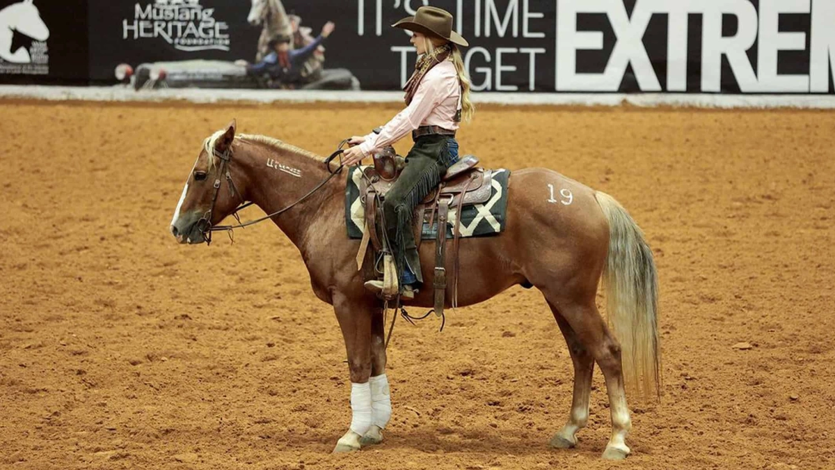 From Wild To Mild: The Extreme Mustang Makeover - COWGIRL Magazine