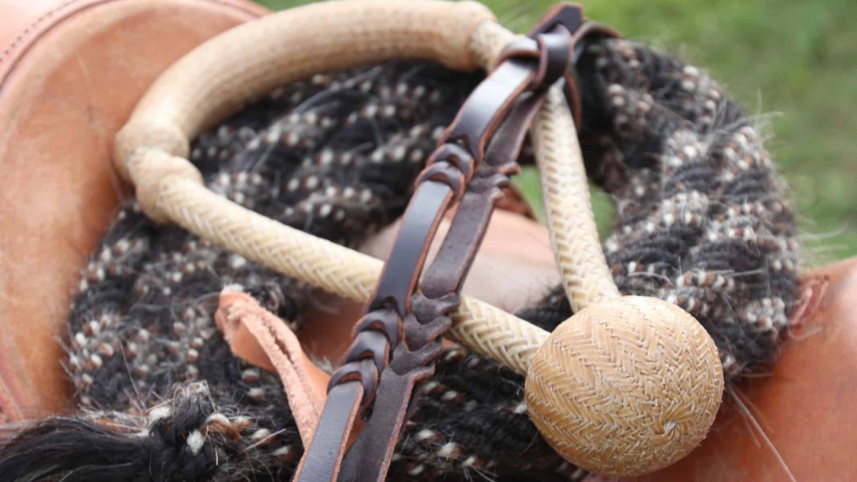 What Is A Bosal? - COWGIRL Magazine