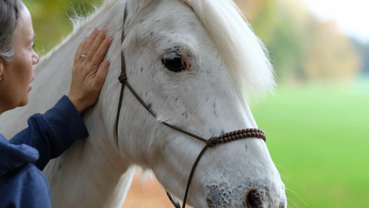 5 Groundwork Exercises You Must Try - COWGIRL Magazine