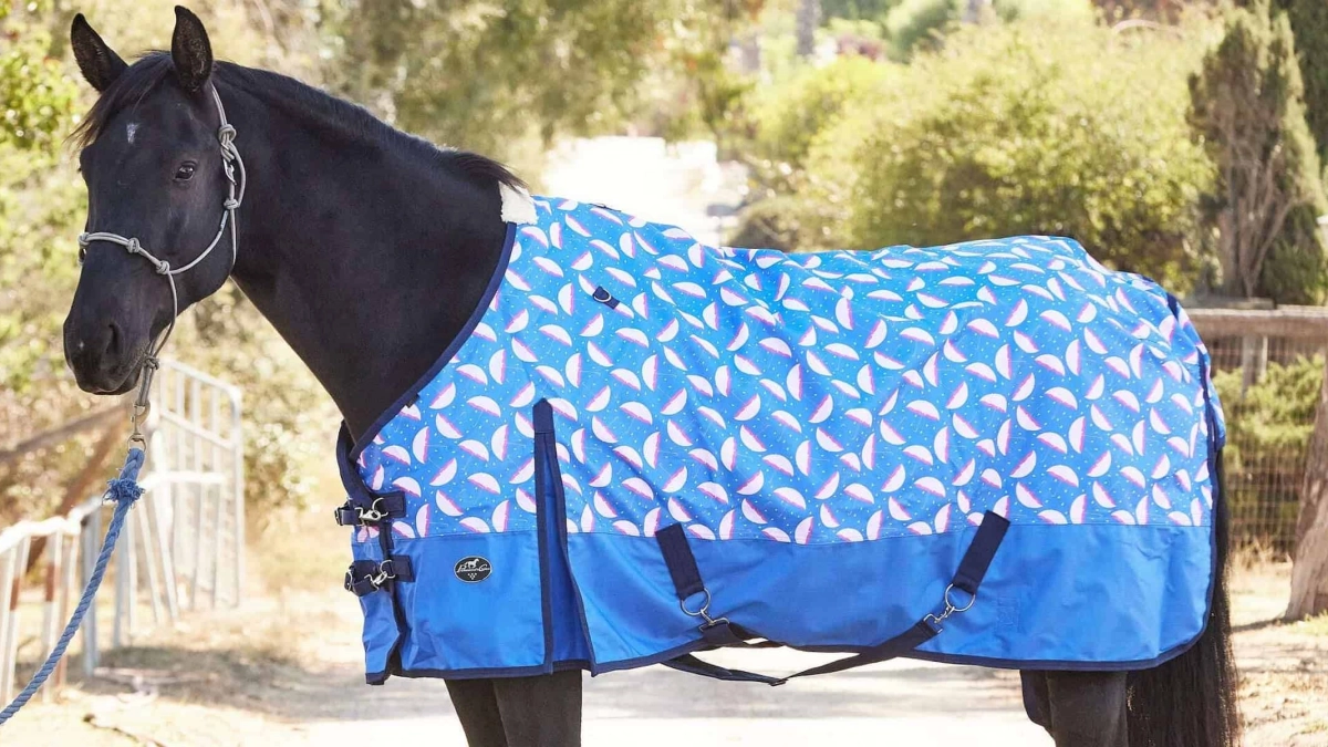 Colorful Rain Sheets For Those Wet Days - COWGIRL Magazine