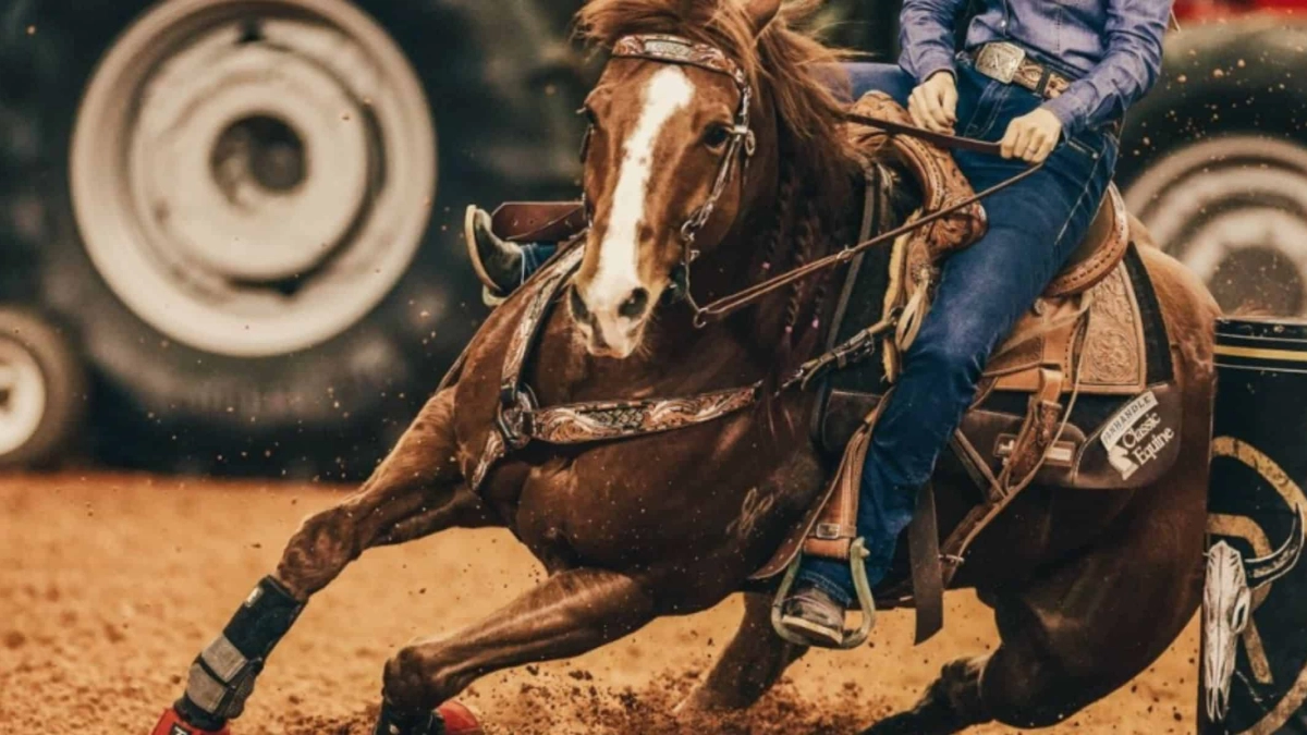 Durango® Unveils The PRCA Collection For The First Time At The All ...