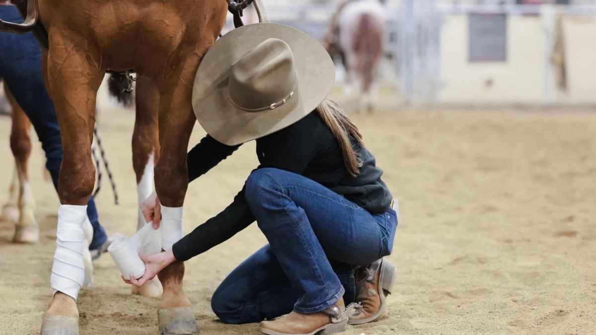 NCHA's Loper Of The Year