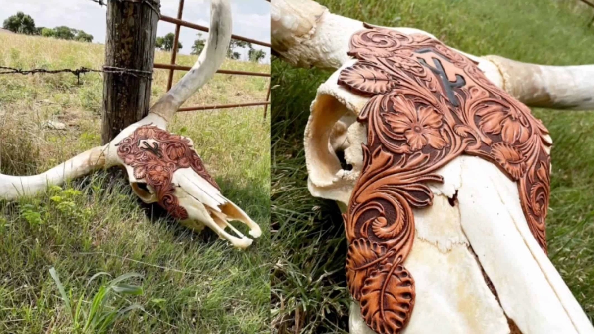 This Cow Skull Is Tooled To Perfection