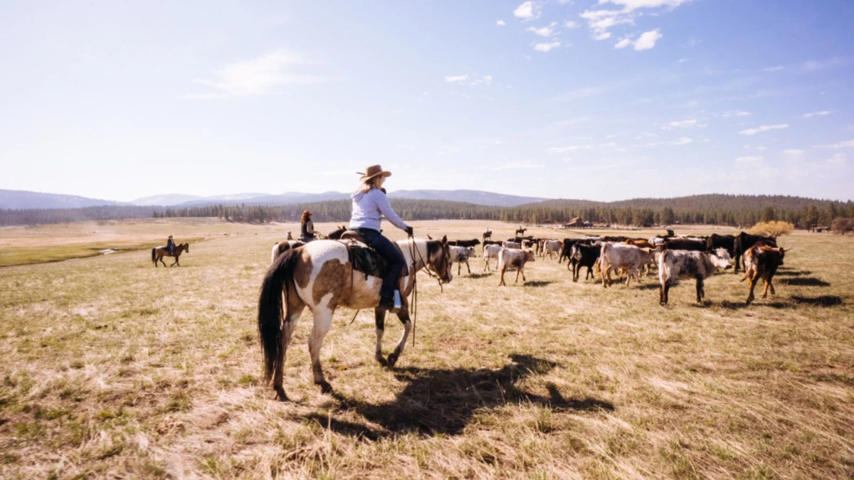 Experience The Cowgirl Spring Roundup At Paws Up - COWGIRL Magazine