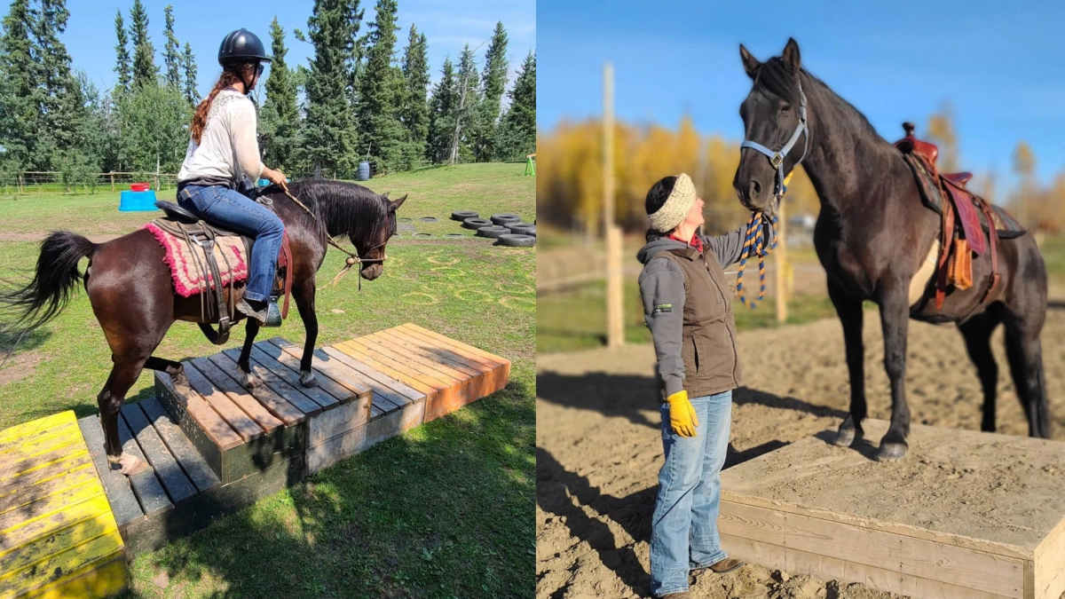 Fun DIY Trail Obstacles To Build - COWGIRL Magazine