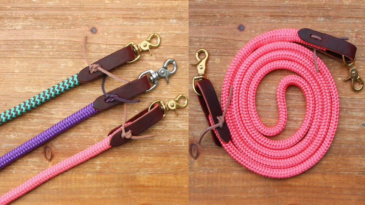 Western Reins For Spring