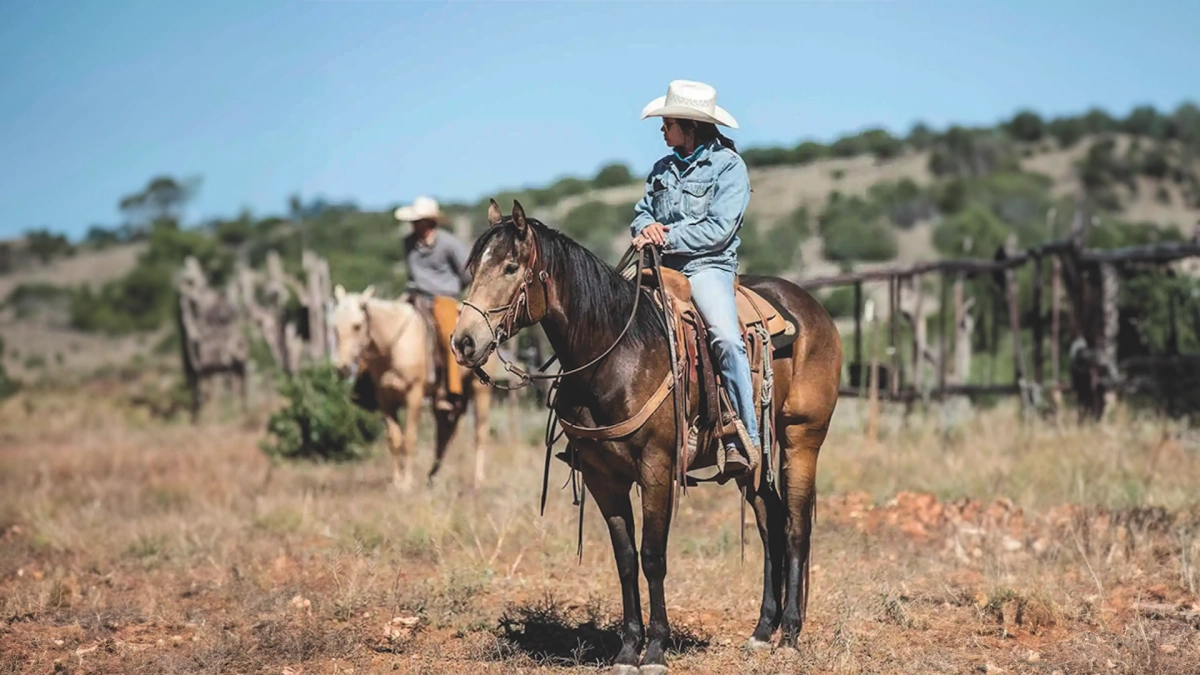 Legacy Ranch Horse Sale Returns to Prescott
