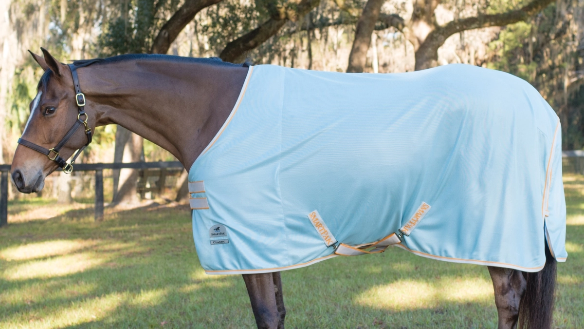 Should You Use A Fly Sheet In Hot, Humid Weather?