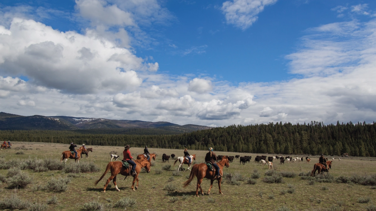 Cowgirl Camaraderie At The Cowgirl Roundup