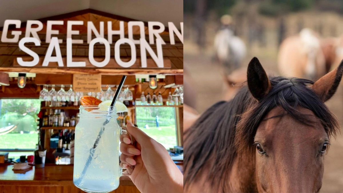 Discover The Sierras - Get Lost At Greenhorn Ranch