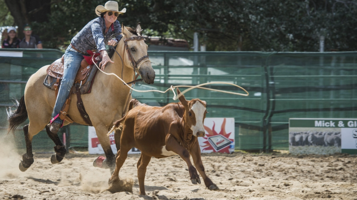10 Common Team Roping Terms