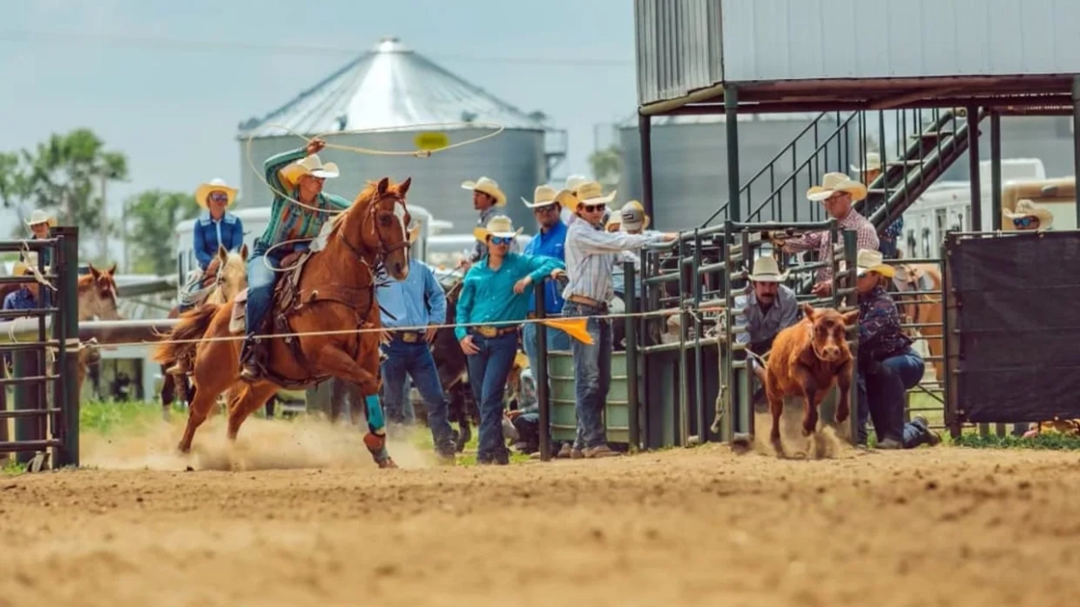 4H Rodeo Star Hope Kosel Goes Viral With Record-Setting Breakaway ...