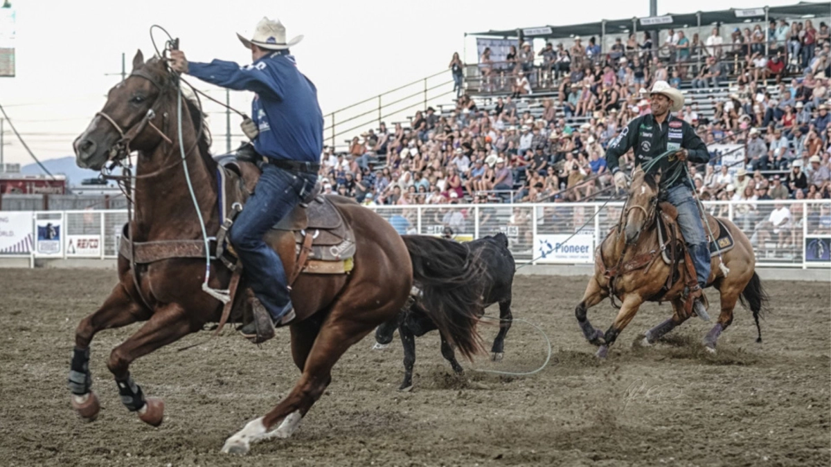 Unveiling The Team Roping Pairs For The 2024 Wrangler National Finals Rodeo