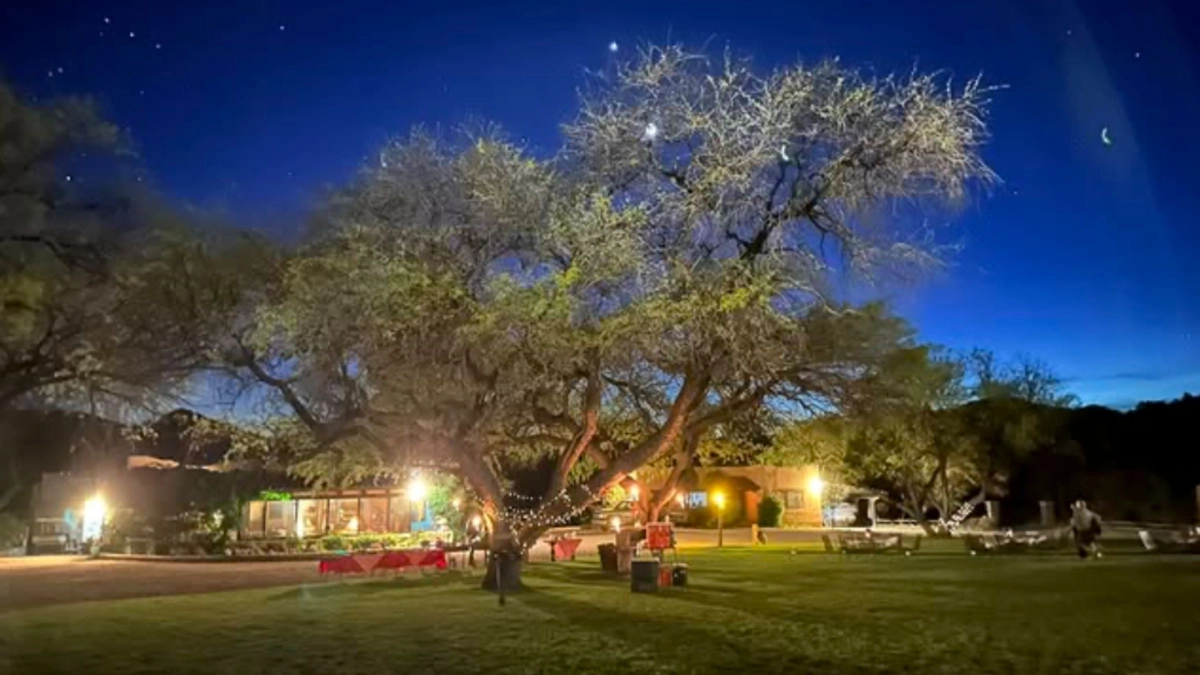 Exploring Arizona's Oldest Guest Ranch: Circle Z Ranch