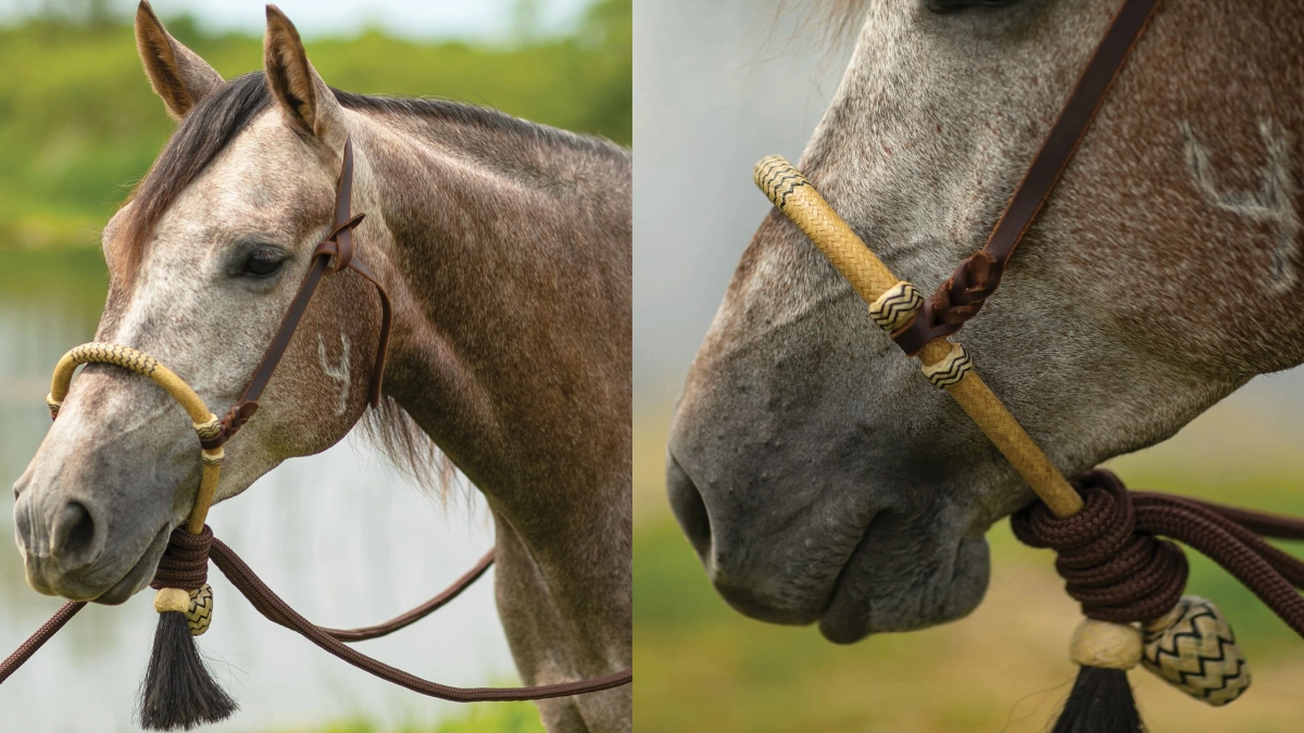 The Proper Fit Of A Bosal