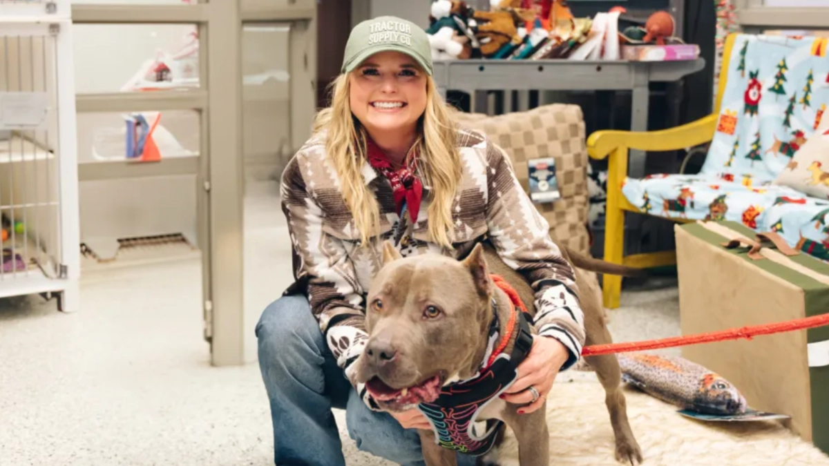 Miranda Lambert’s MuttNation Teams Up With Norman’s Rare Guitars To Support L.A. Animal Shelters ...